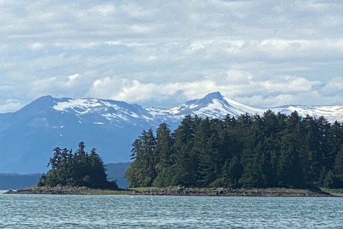 Whale Watching Adventure in Juneau - What to Expect