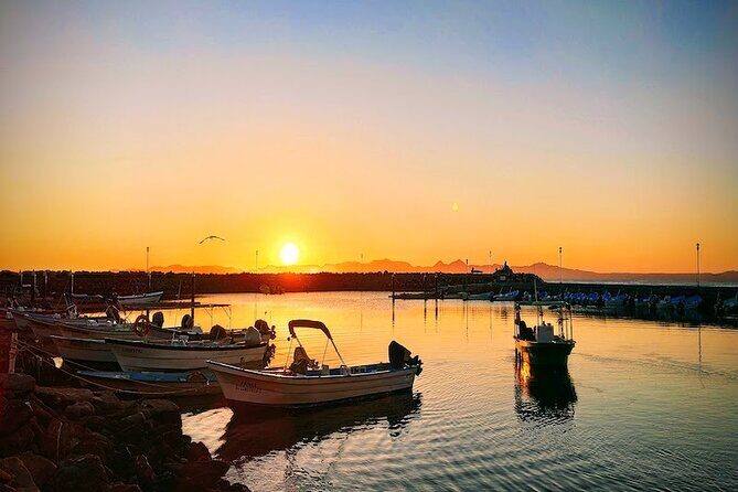 Whale Watching Adventure in Loretos Sea of Cortez - What You Can Expect on the Water
