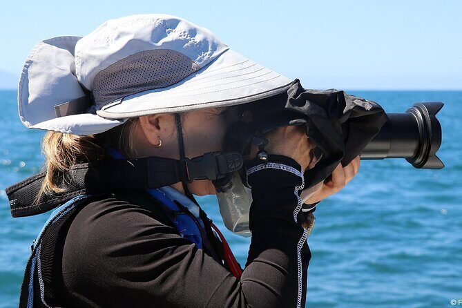 Whale Watching Adventure - leaded by marine biologist. - Who This Tour Is Best For
