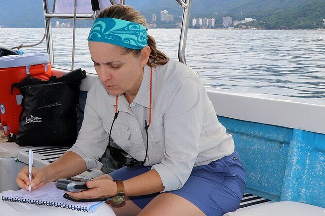 Whale Watching Adventure - leaded by marine biologist. - The Sum Up