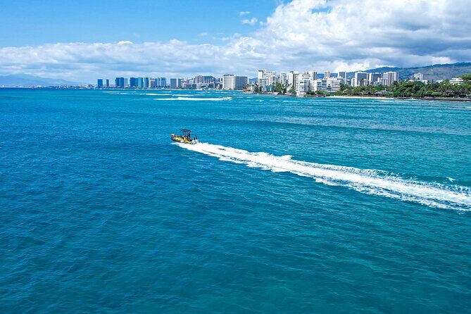 Whale Watching Adventure -Speed Boat & Small Group - The Sum Up