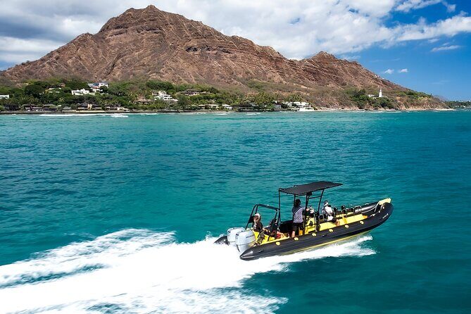 Whale Watching Adventure -Speed Boat & Small Group - FAQ