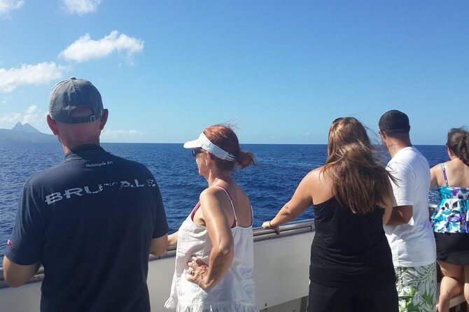 Whale Watching and Dolphin Spotting Cruise - A Detailed Look at the Whale Watching Cruise