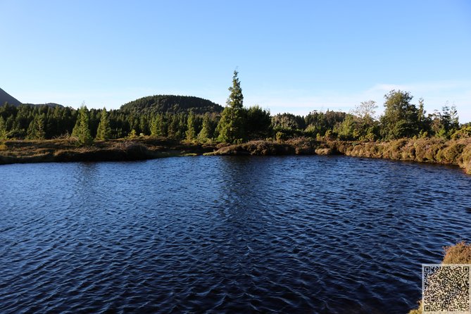 Whale Watching and Jeep Tour - Lunch and Refreshments