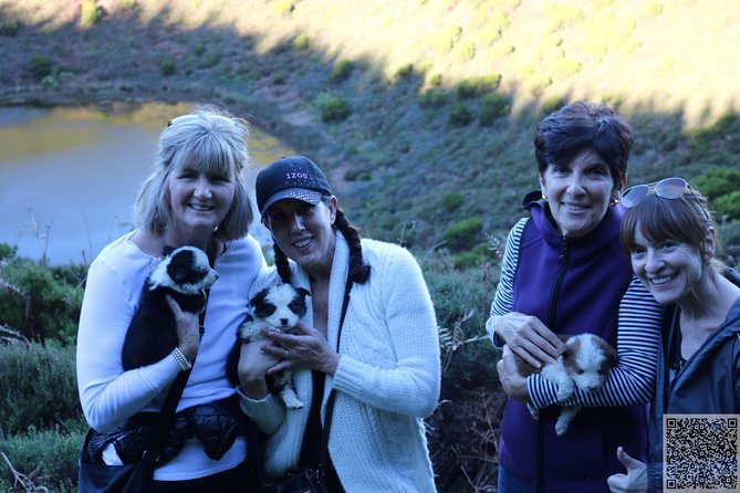 Whale Watching and Jeep Tour - Tour Logistics