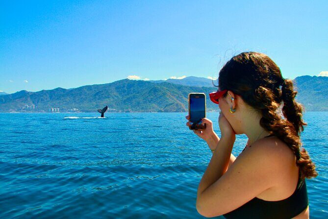 Whale Watching and Los Arcos 5 Islands Adventure - Key Points