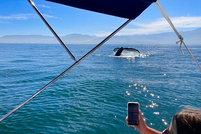 Whale Watching and Los Arcos 5 Islands Adventure - What Makes This Tour Stand Out?