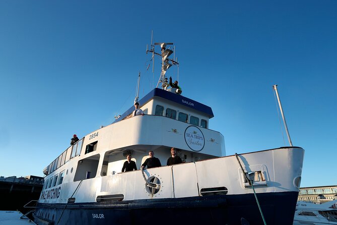 Whale Watching and Marine Life Tour in Reykjavik - Meeting Point and Logistics
