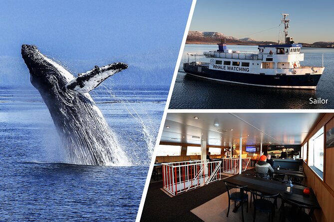 Whale Watching and Marine Life Tour in Reykjavik - Customer Reviews and Feedback