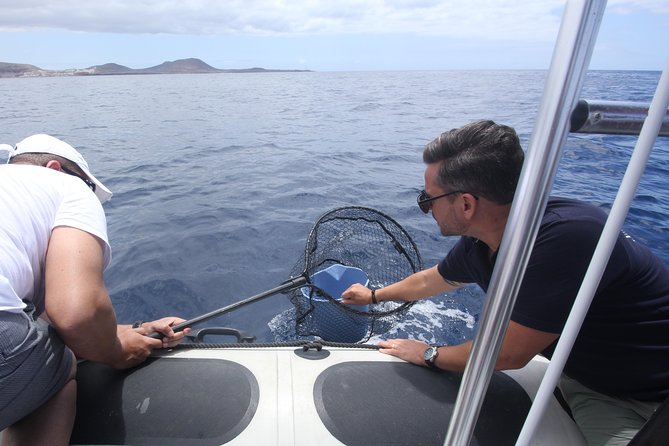 Whale Watching and Marine Science Tour - Inclusions and Amenities