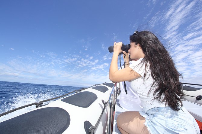 Whale Watching and Marine Science Tour - Preparing for the Adventure