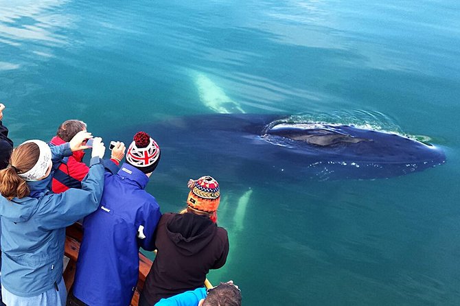 Whale Watching and Sea Angling Tour - Booking Details and Flexibility