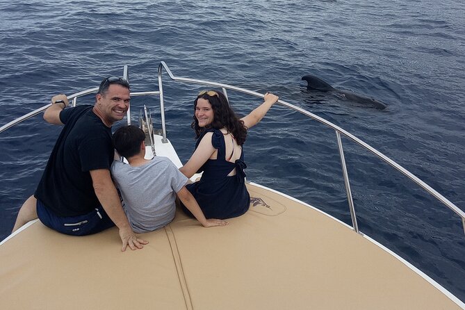 Whale watching and snorkelling in the whale sanctuary - The Value of This Tour