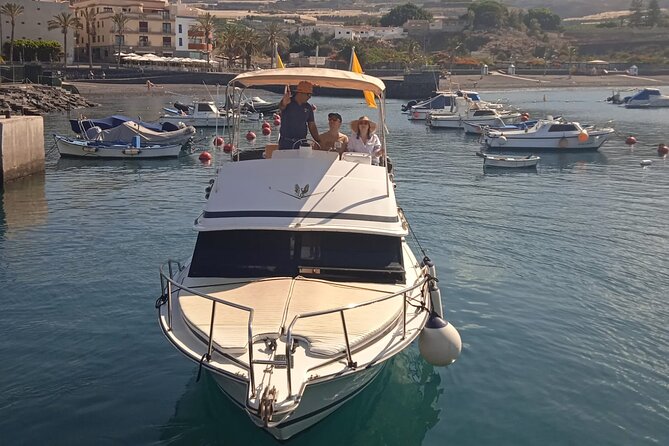 Whale watching and snorkelling in the whale sanctuary - Final Thoughts