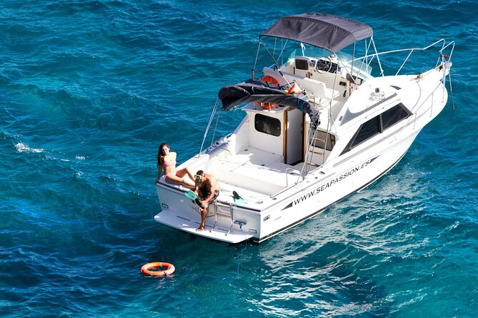 Whale watching and snorkelling in the whale sanctuary - Frequently Asked Questions