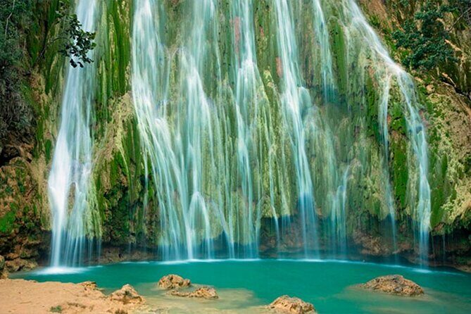 Whale Watching and Waterfalls in Samana Province - The Sum Up