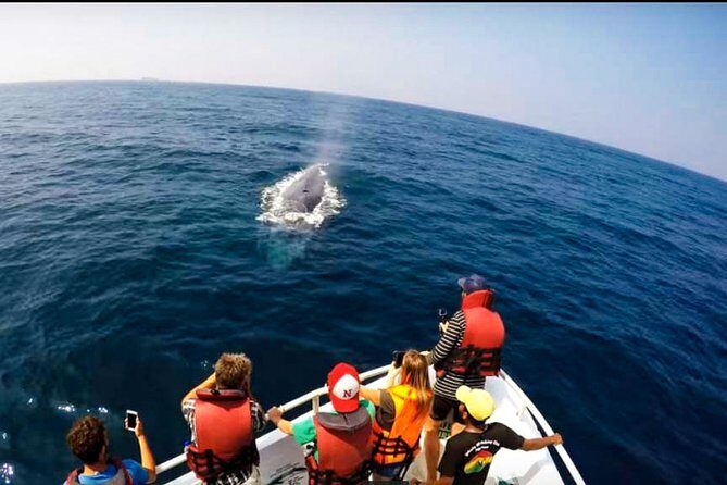 Whale Watching Boat Tour from Galle - Who Will Love This Tour
