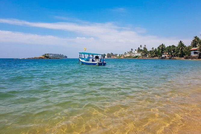 Whale Watching Boat Tour from Talpe - Frequently Asked Questions