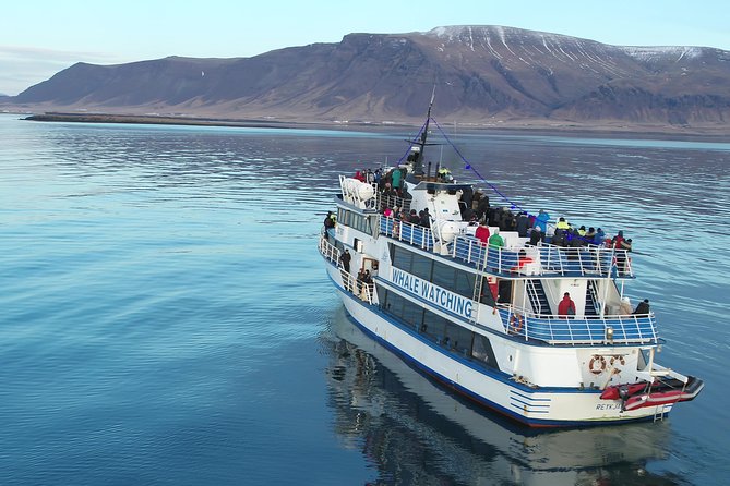 Whale-Watching Boat Tour With Expert Guide From Reykjavik - Amenities and Inclusions