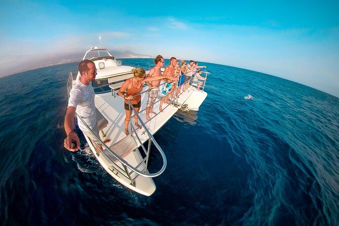 Whale Watching Catamaran Cruise with Transfer, Buffet by MC - Key Points