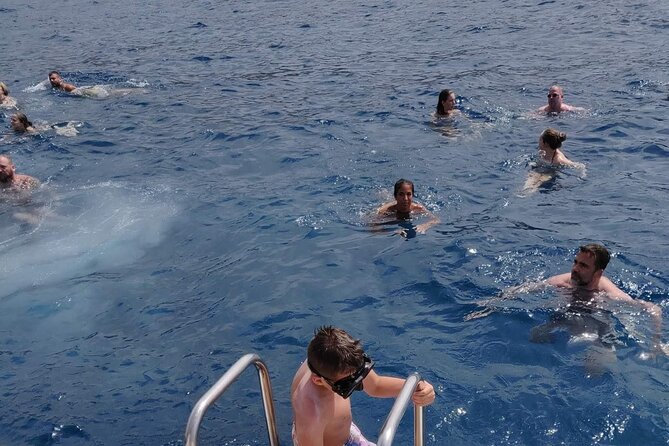 Whale Watching Catamaran in Costa Adeje (Including Drinks & Sandwich) - Accessibility and Medical Considerations