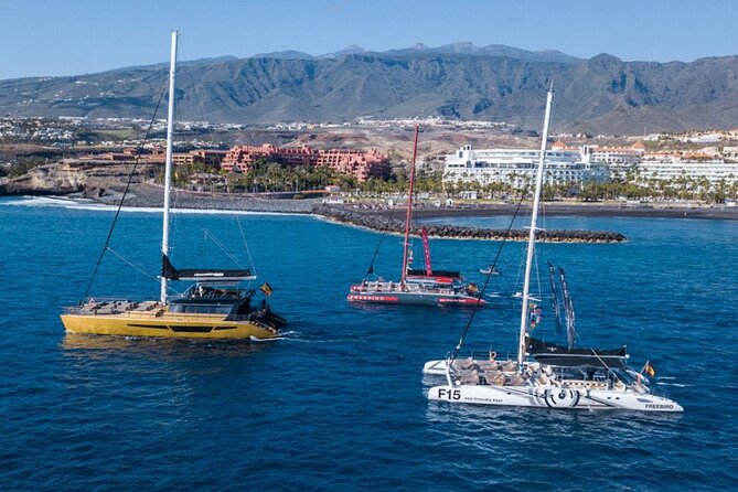 Whale Watching Catamaran in Costa Adeje (Including Drinks & Sandwich) - Customer Feedback and Concerns