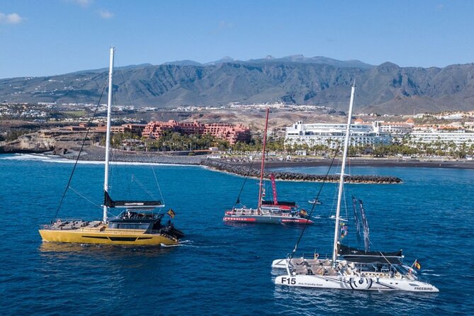 Whale Watching Catamaran to Los Gigantes & Masca (Including Drinks & Warm Lunch) - Pickup and Meeting Logistics