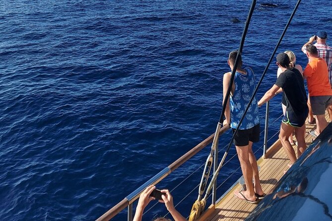 Whale Watching Catamaran to Los Gigantes & Masca (Including Drinks & Warm Lunch) - Participant Requirements