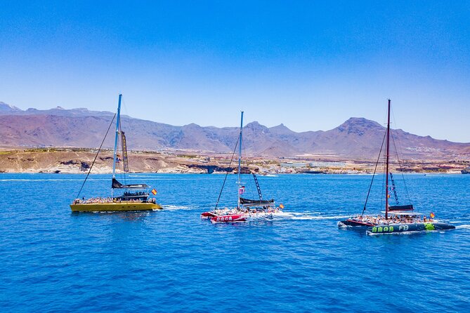 Whale Watching Catamaran to Los Gigantes & Masca (Including Drinks & Warm Lunch) - Booking and Pricing