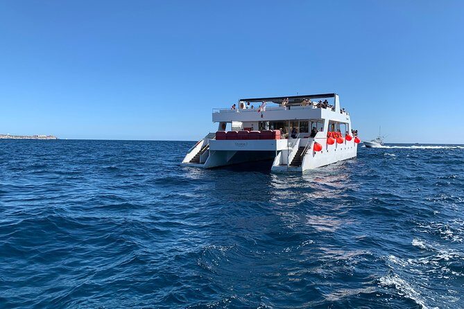 Whale Watching Cruise in Cabos San Lucas and Ground Transportation - FAQ