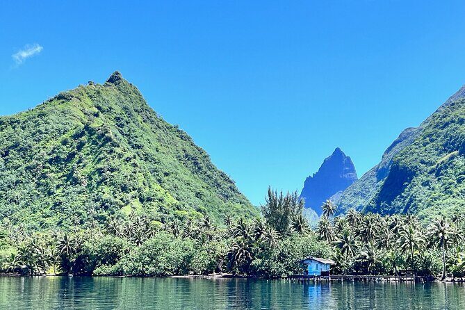 Whale watching DE Tahiti Peninsula - Introduction: What You Can Expect from the Tahiti Whale Watching Tour