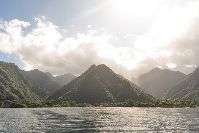 Whale watching DE Tahiti Peninsula - FAQ