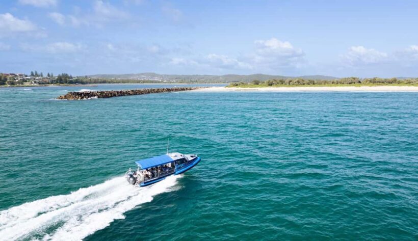 Whale Watching Discovery Tour from Lake Macquarie - Whale Watching Discovery Tour from Lake Macquarie: A Detailed Review