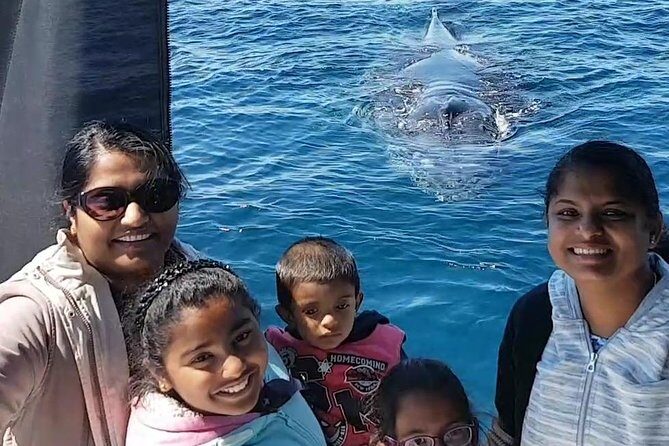 Whale Watching Dunsborough - The Experience in Context: Why It Matters