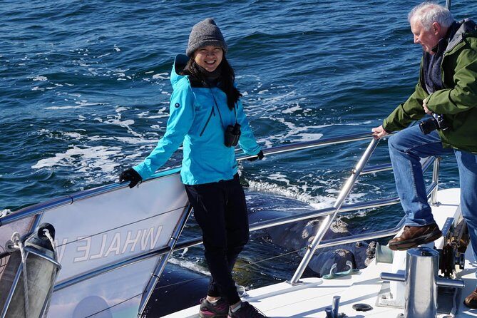 Whale Watching Dunsborough - FAQs About Whale Watching Dunsborough