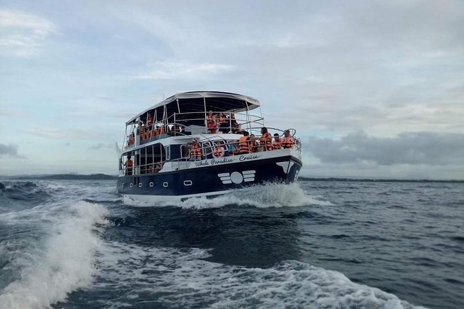 Whale Watching Experience in Mirissa - Who Should Consider This Tour?