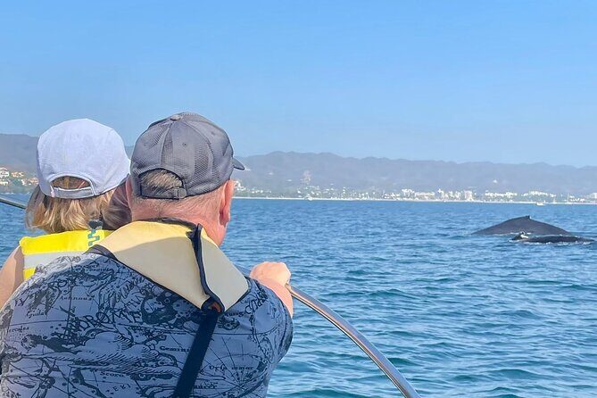 Whale Watching Experience in Puerto Vallarta - A Detailed Dive into the Whale Watching Tour