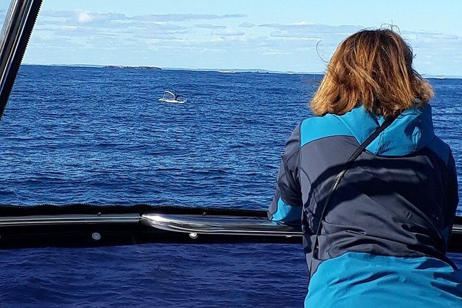 Whale Watching from Augusta in Western Australia - Authentic Feedback from Travelers