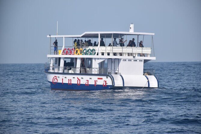 Whale Watching from Hikkaduwa with Pickup & Drop - Key Points