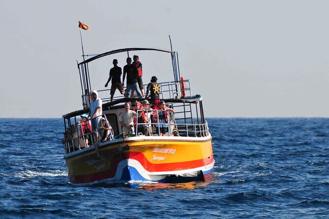 Whale Watching from Kalpitiya on Private Boat - The Sum Up: A Rewarding, Authentic Marine Encounter