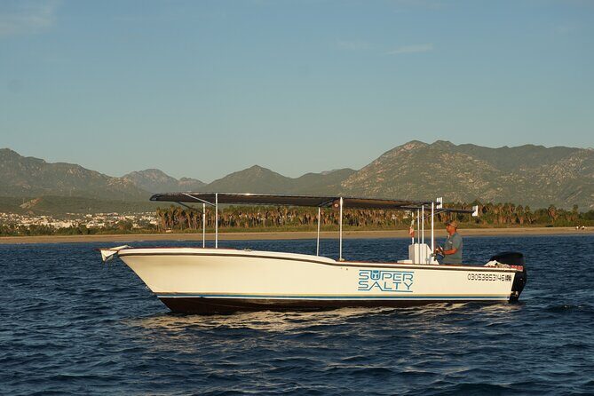 Whale Watching Group Tour in San Jose del Cabo - An In-Depth Look at the Whale Watching Tour