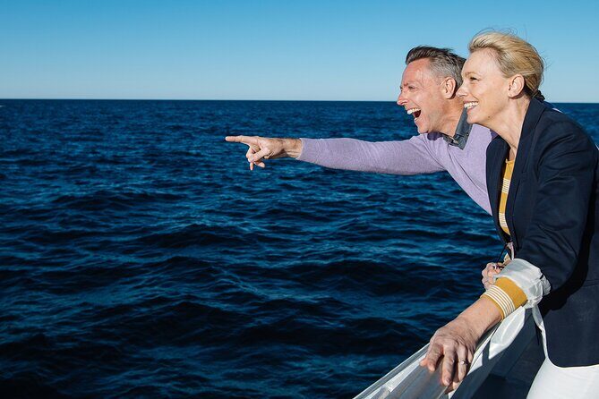 Whale Watching & Hop On Hop Off Sydney Harbour Explorer Cruise - An In-Depth Look at the Experience
