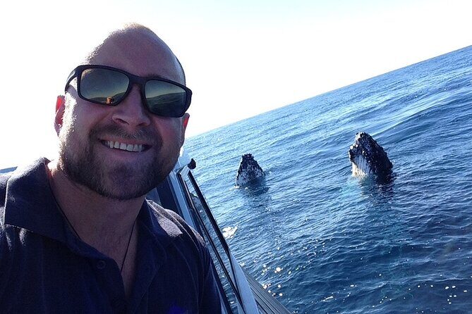 Whale Watching in Coffs Harbour - FAQ