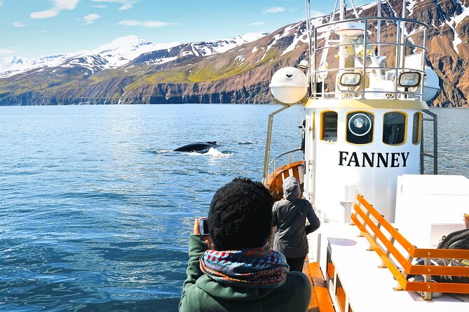 Whale Watching in Husavik - Exploring Skjálfandi Bay on a Traditional Oak Boat