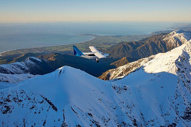Whale Watching in Kaikoura - Ultimate Experience - Key Points