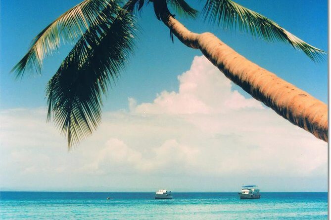 Whale Watching in Samana - Practical FAQ