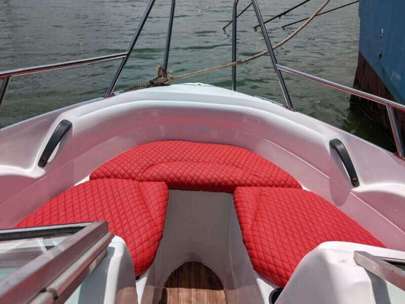 Whale Watching in Speed Boat in Mirissa - Why This Tour Might Be Perfect for You