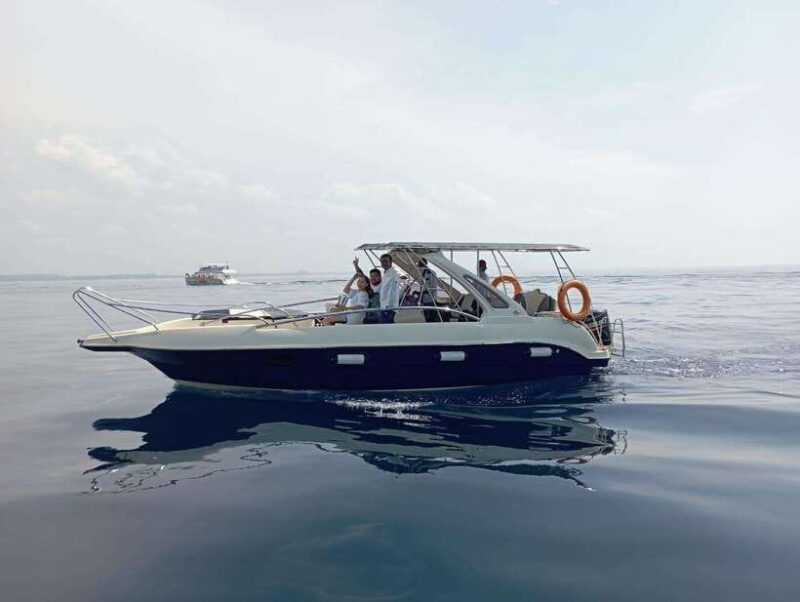 Whale Watching in Speed Boat in Mirissa - Who Should Consider This Tour?