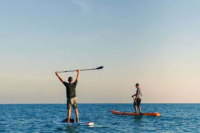 Whale Watching in Trincomalee by Catamaran cruise - FAQs