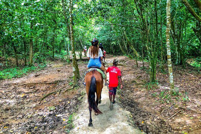 Whale Watching & Limón Waterfall Day Trip - Final Thoughts: Who Will Love This Tour?